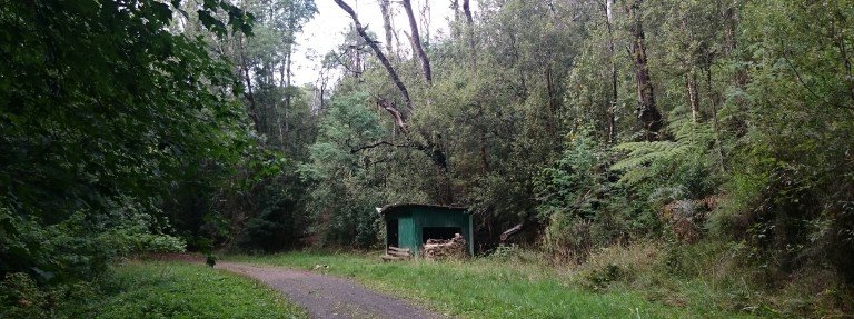 Hamer Arboretum & Woolrich Lookout, Dandenong Ranges