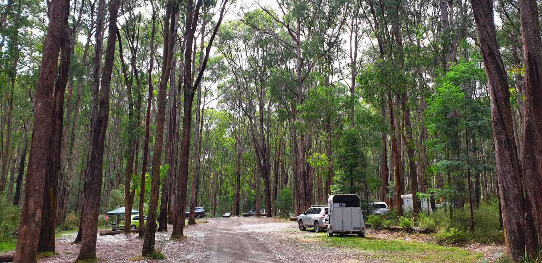 Kurth Kiln Free Campground, Gembrook | Dandenong Ranges National Park ...